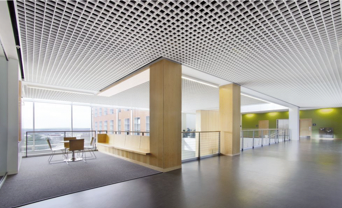 Metapan C-Series Open Cell Ceiling by Asona – EBOSS