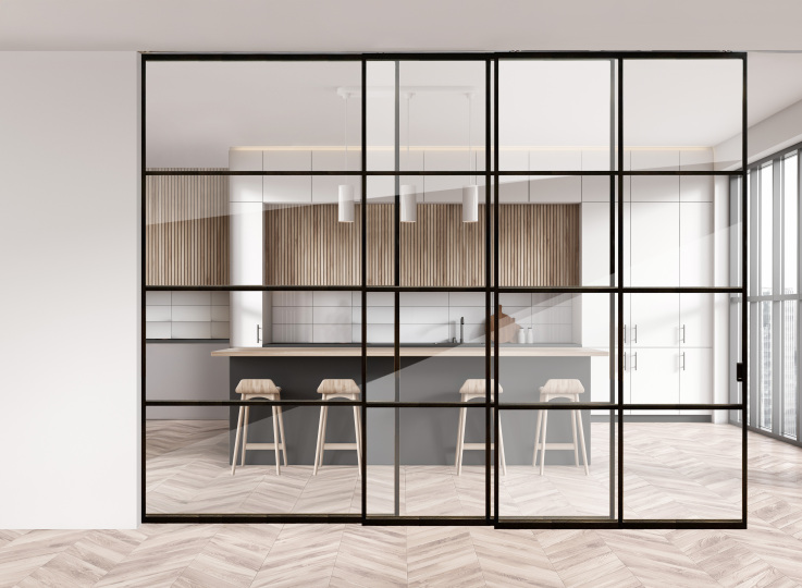 CS Loft Series by CS Cavity Sliders (CS for Doors) – EBOSS