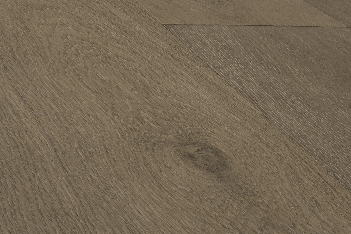 Engineered Timber Wood Flooring — Indus Collection by Forté – EBOSS