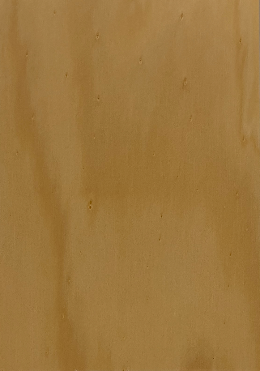 Araucaria Plywood by Plytech Panels – EBOSS