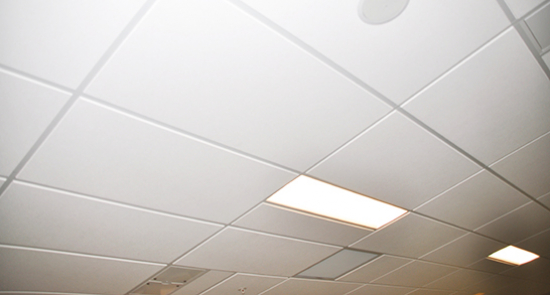 USG Donn Grid Suspension System by Potter Interior Systems – EBOSS