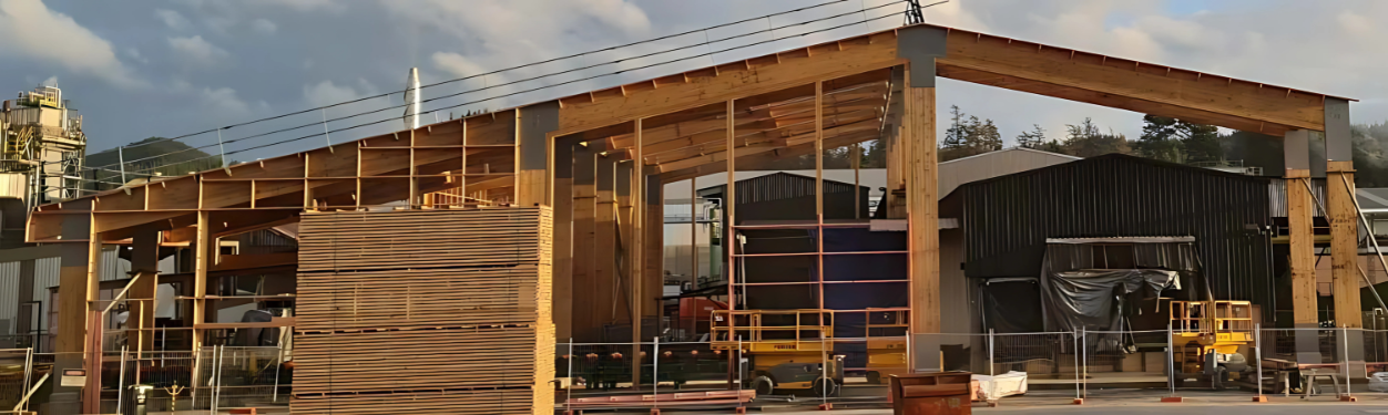 Red Stag CLT Beams by Red Stag TimberLab – EBOSS