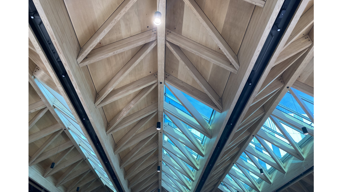 Red Stag Glulam Rafters and Struts by Red Stag TimberLab – EBOSS