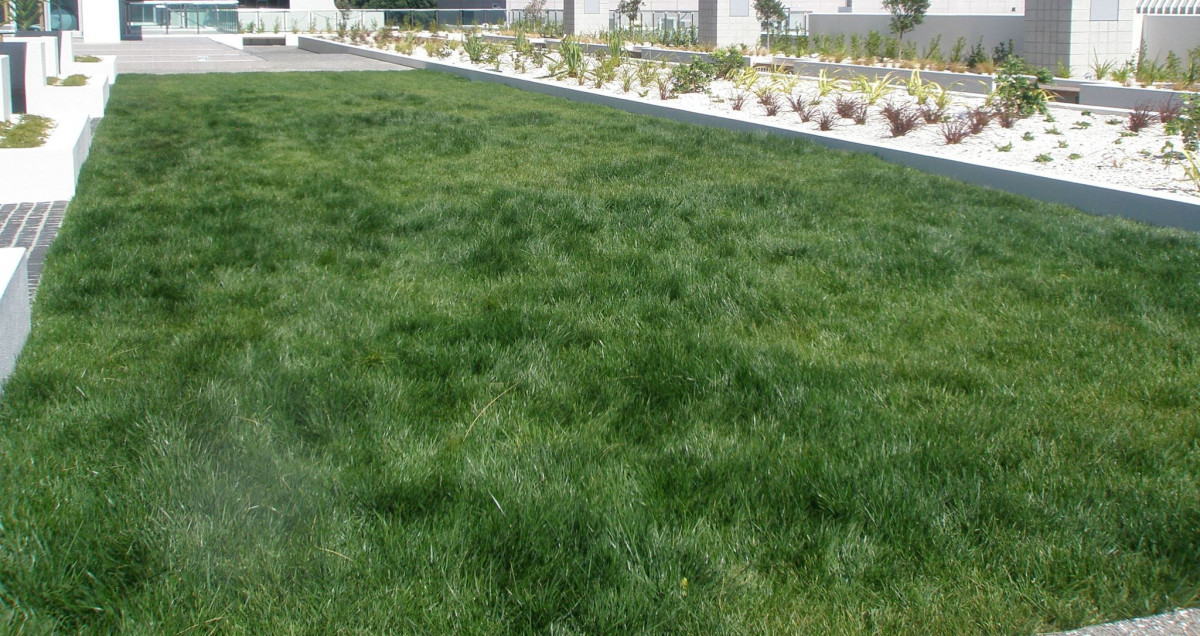 Casali Dermabit Extra: Durable, Torch-on Deck Waterproofing – EBOSS