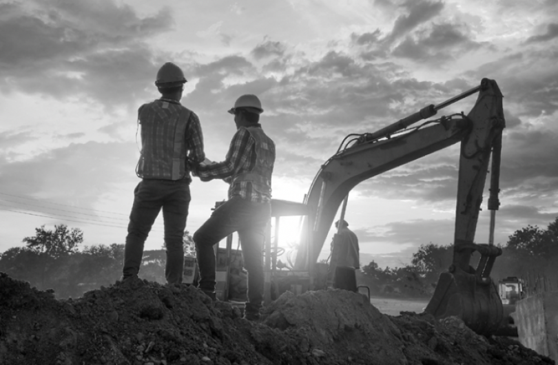 Ward Off Insects with Brio's Discreet and Durable Insect Screens – EBOSS