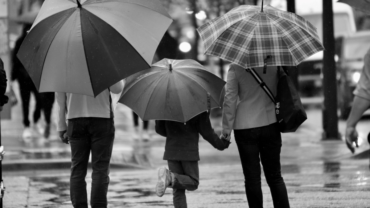 Dealing with Climate Change Rain – EBOSS