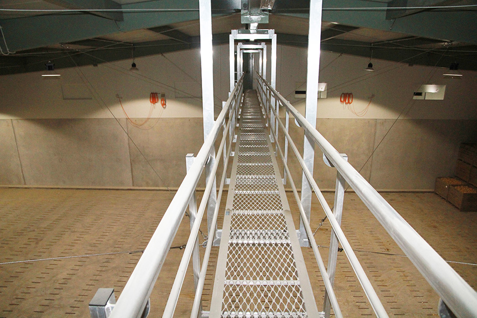 Monkey Toe Designs Innovative Suspended Walkway for Warehouse – EBOSS