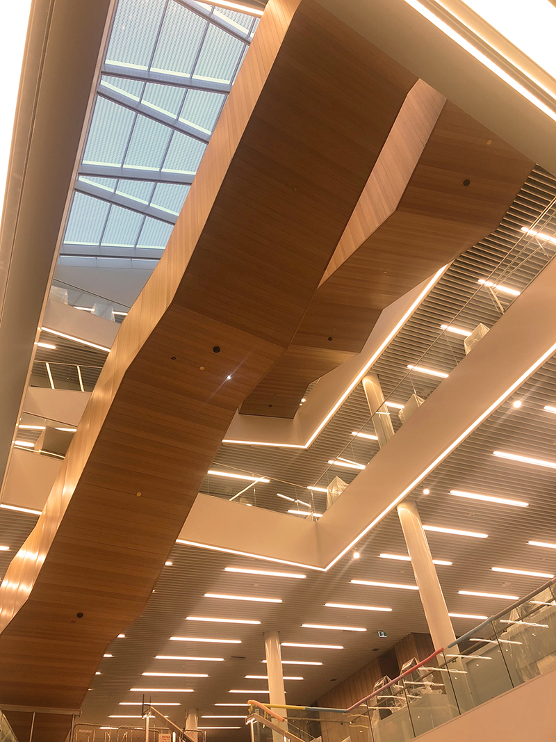 T&R Aluminium Ceilings Feature in Tūranga Library – EBOSS