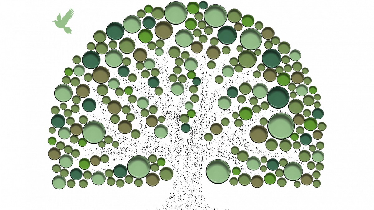 From Green Paint to Green Trees with Resene Eco.Decorators – EBOSS