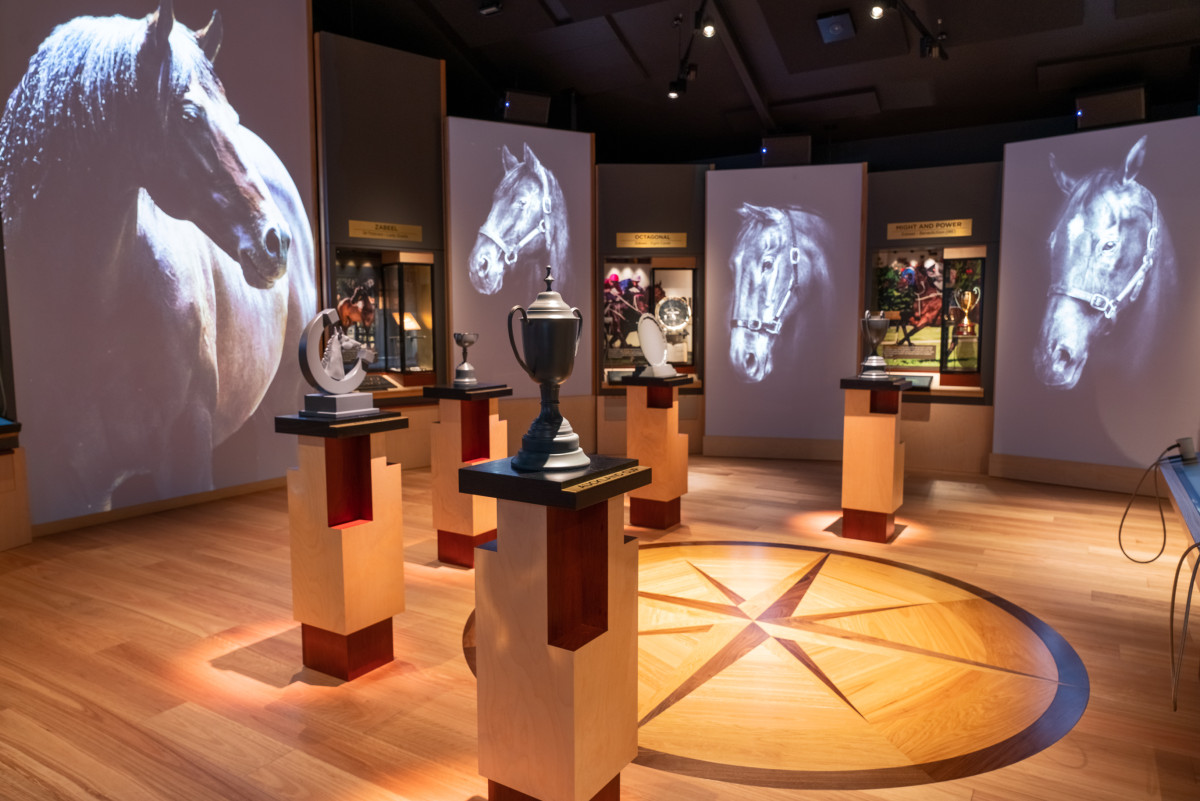 Plytech Birch Ply Brings Warm Glow to Cambridge Stud Heritage Centre ...