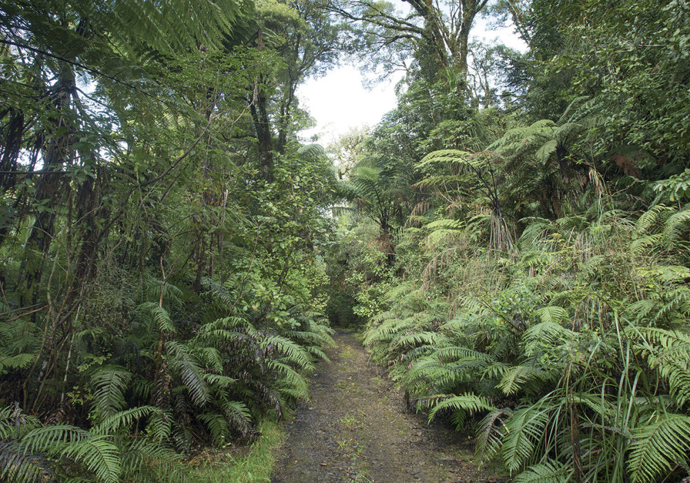 EBOSS: NZ's Architecture Product Library