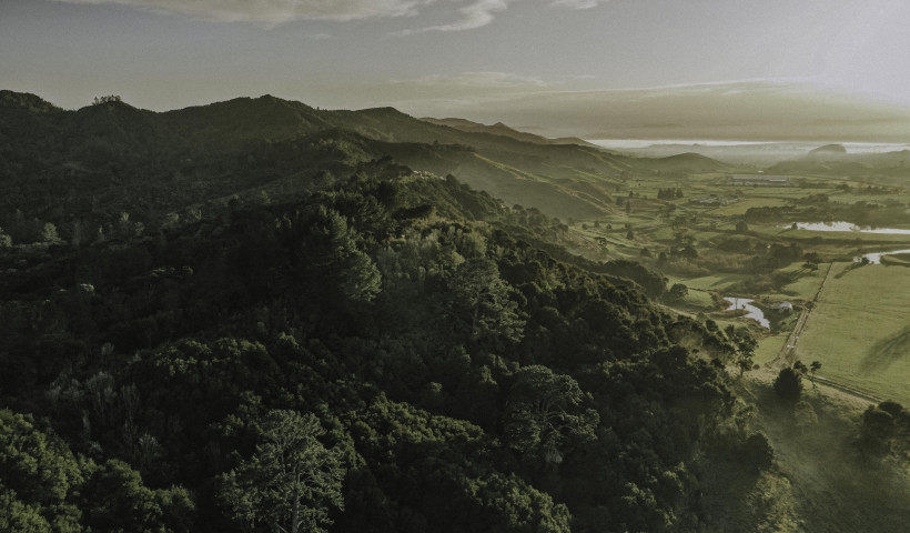 APL Outlines Commitment to Sustainability – EBOSS