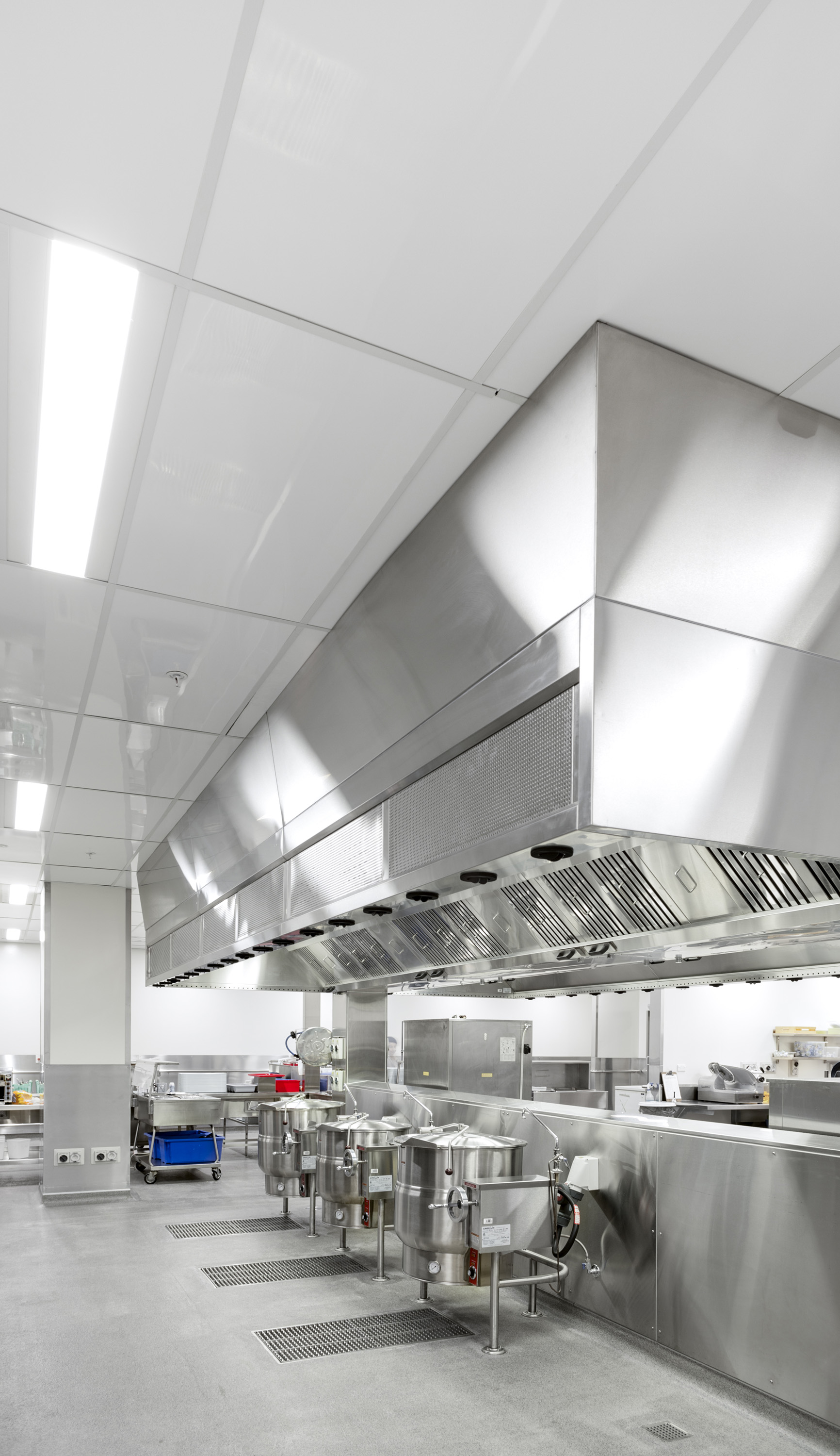 Fenta Ceiling Tiles: UV-Coated & Impervious for High-Hygiene Spaces – EBOSS