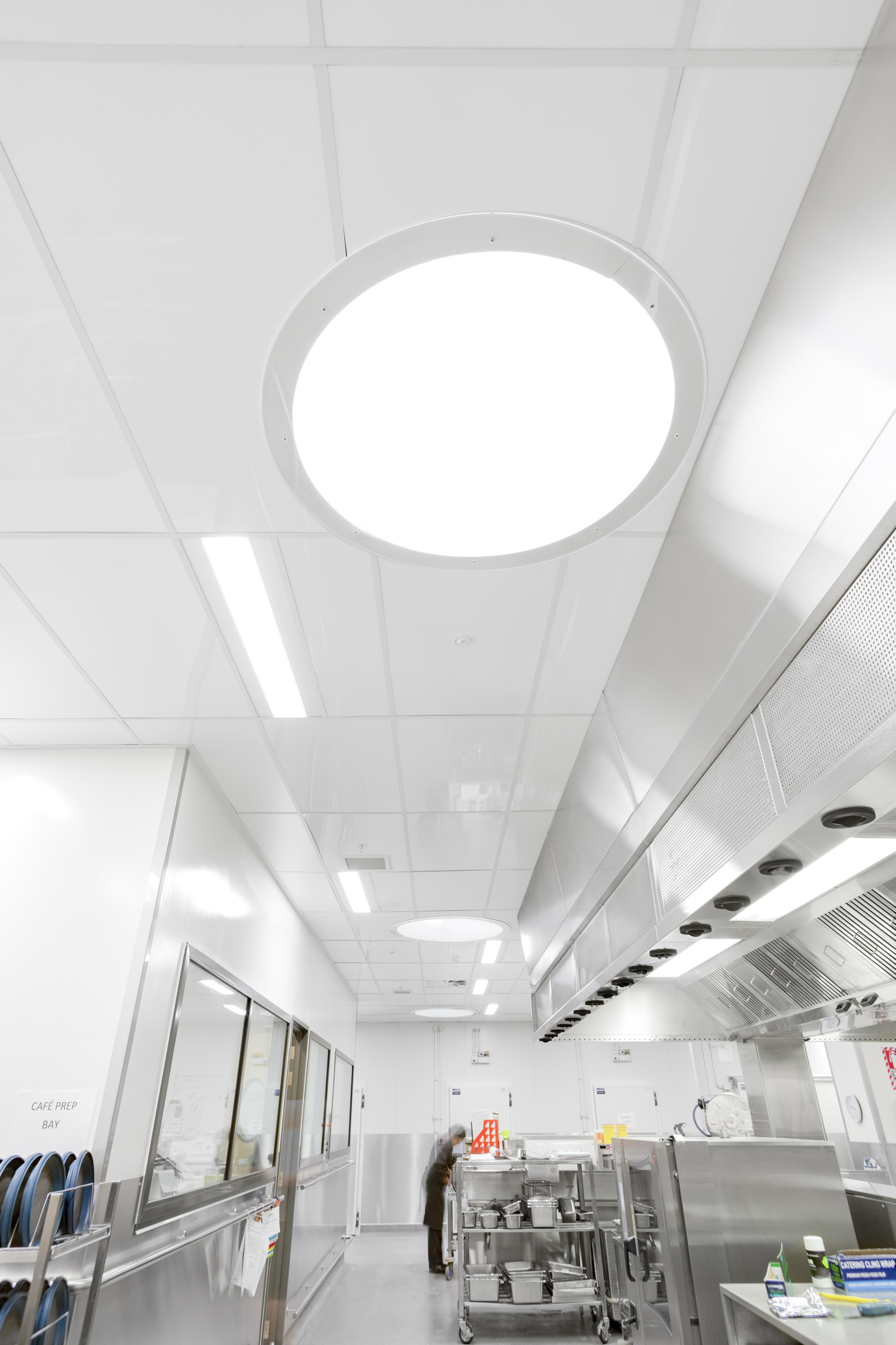 Fenta Ceiling Tiles: UV-Coated & Impervious for High-Hygiene Spaces – EBOSS