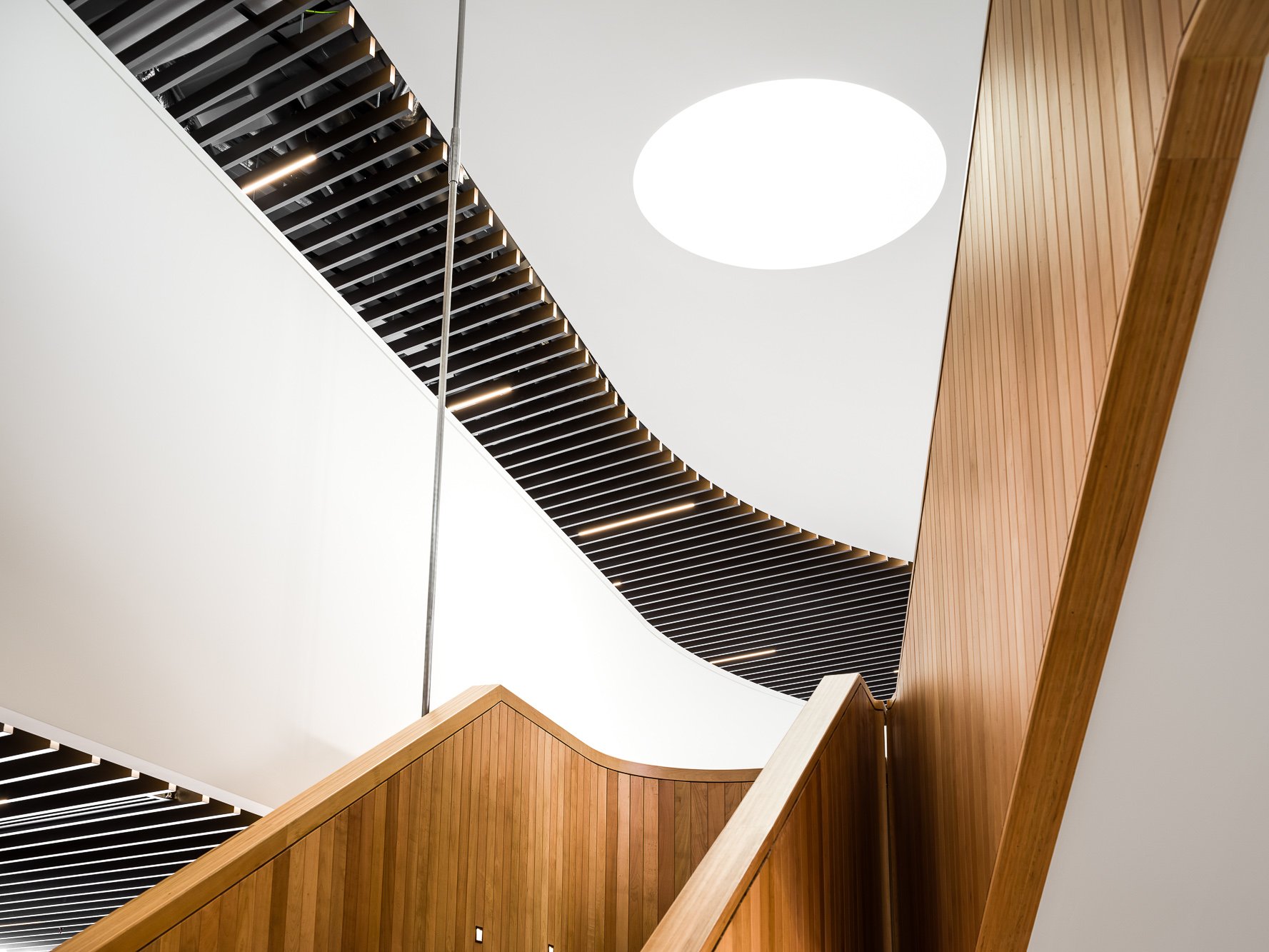 Southland Maple Beech: NZ's Only FSC Certified Indigenous Timber – EBOSS