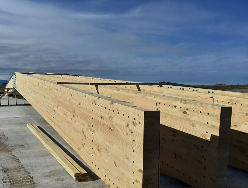 Glulam Structure for Large-Span, Low-Carbon Buildings – EBOSS
