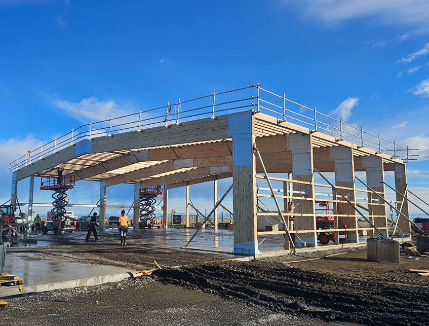 Glulam Structure for Large-Span, Low-Carbon Buildings – EBOSS
